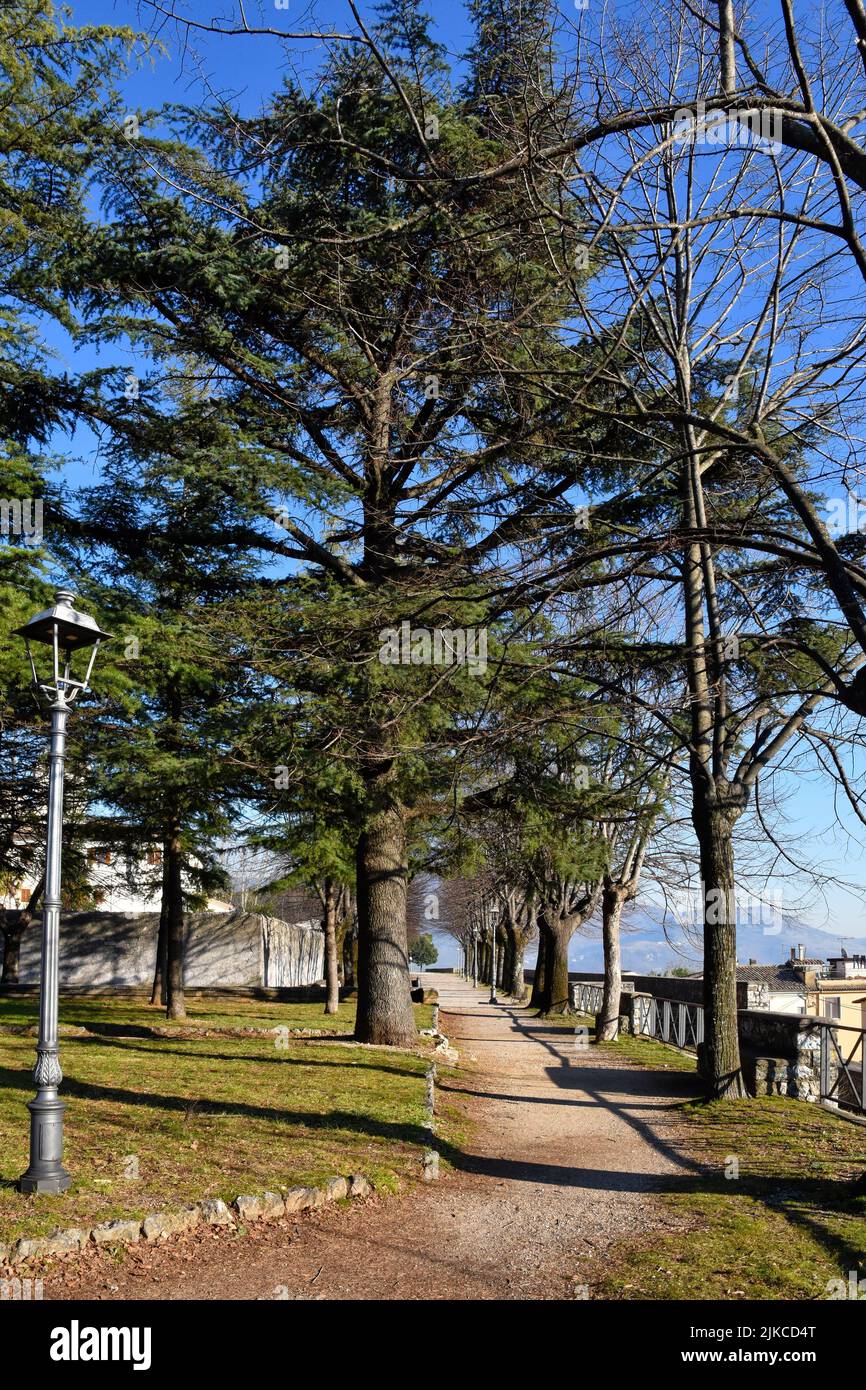 A pathway with trees in the public park of Alatri village in the Lazio ...