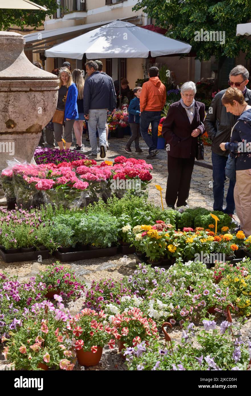 Pollensa Market Day Mallorca Spain Stock Photo - Alamy