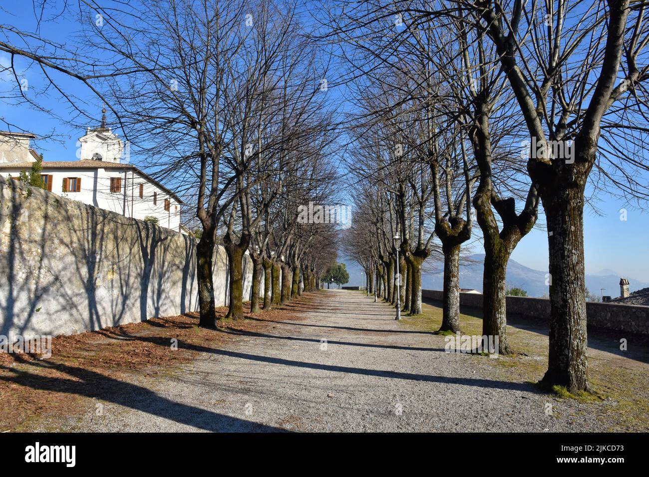 A pathway between winter trees in the public park of Alatri village in ...