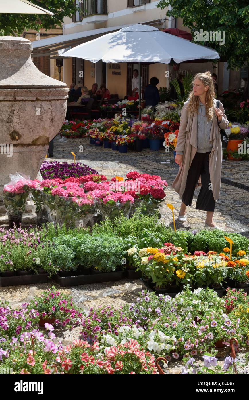 Pollensa Market Day Mallorca Spain Stock Photo - Alamy