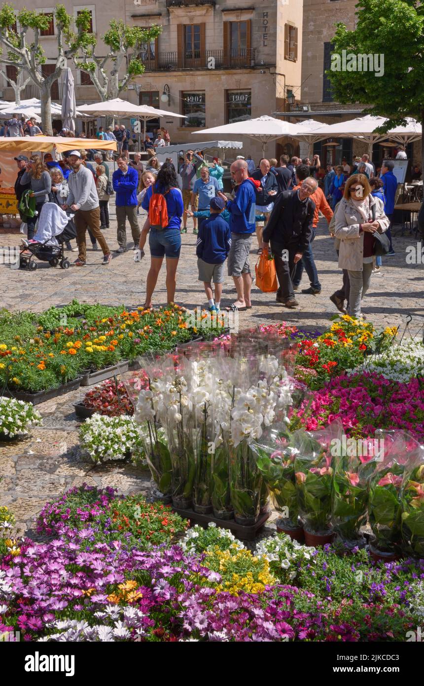 Pollensa Market Day Mallorca Spain Stock Photo - Alamy