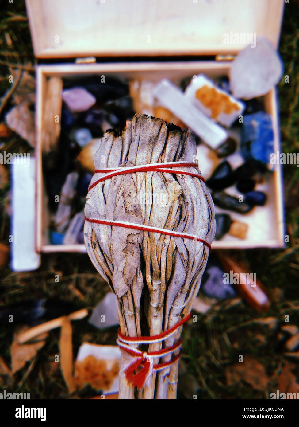 A vertical shot of a sacred white sage smudge stick Stock Photo - Alamy