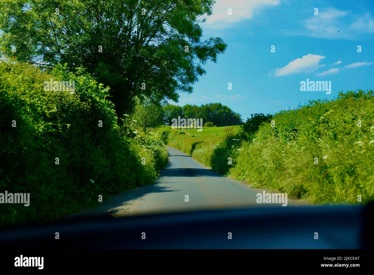 A narrow countryside road surrounded by greenery on a sunny day Stock ...