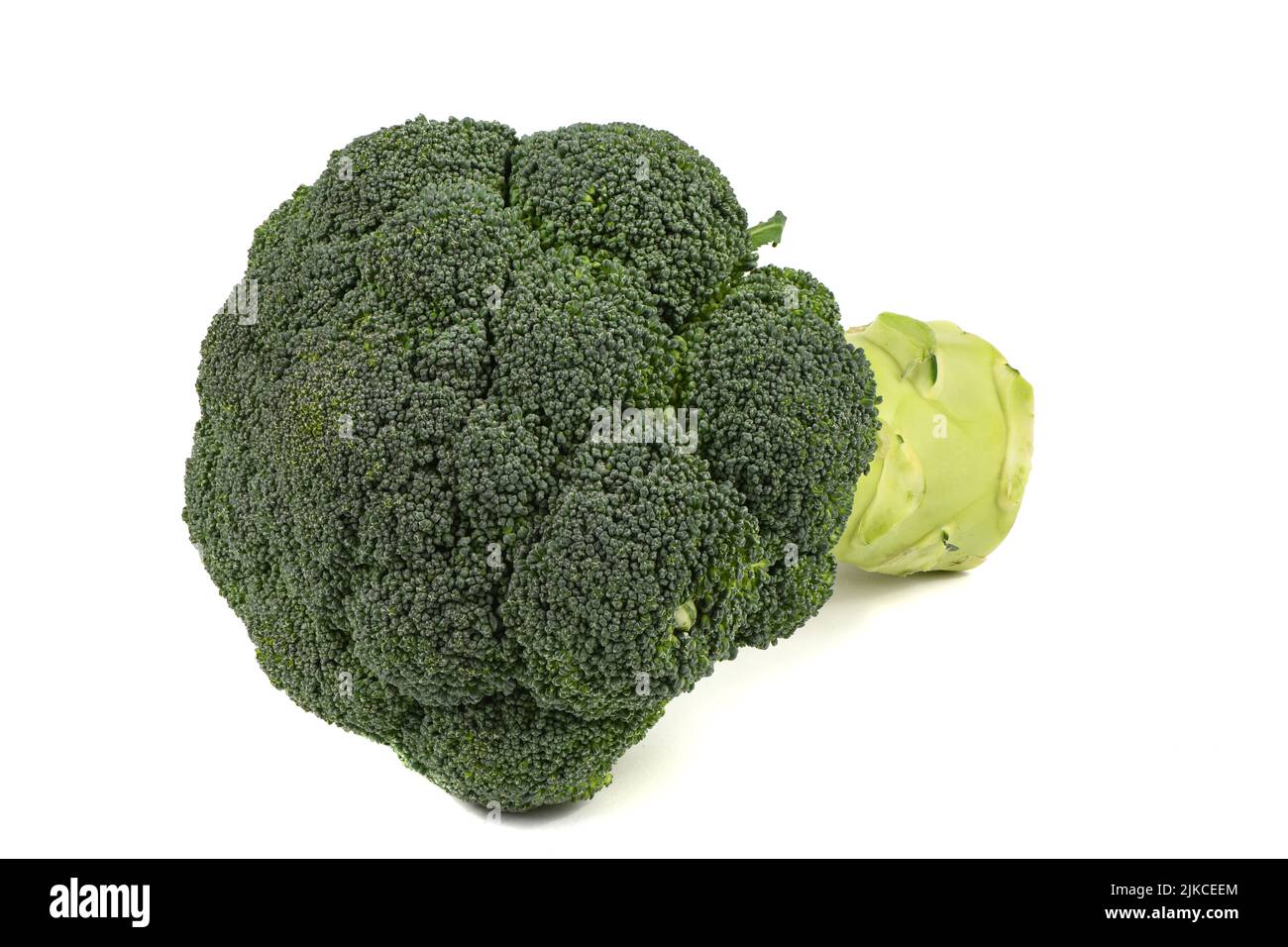 Broccoli isolated on white background. High resolution photo. Full ...