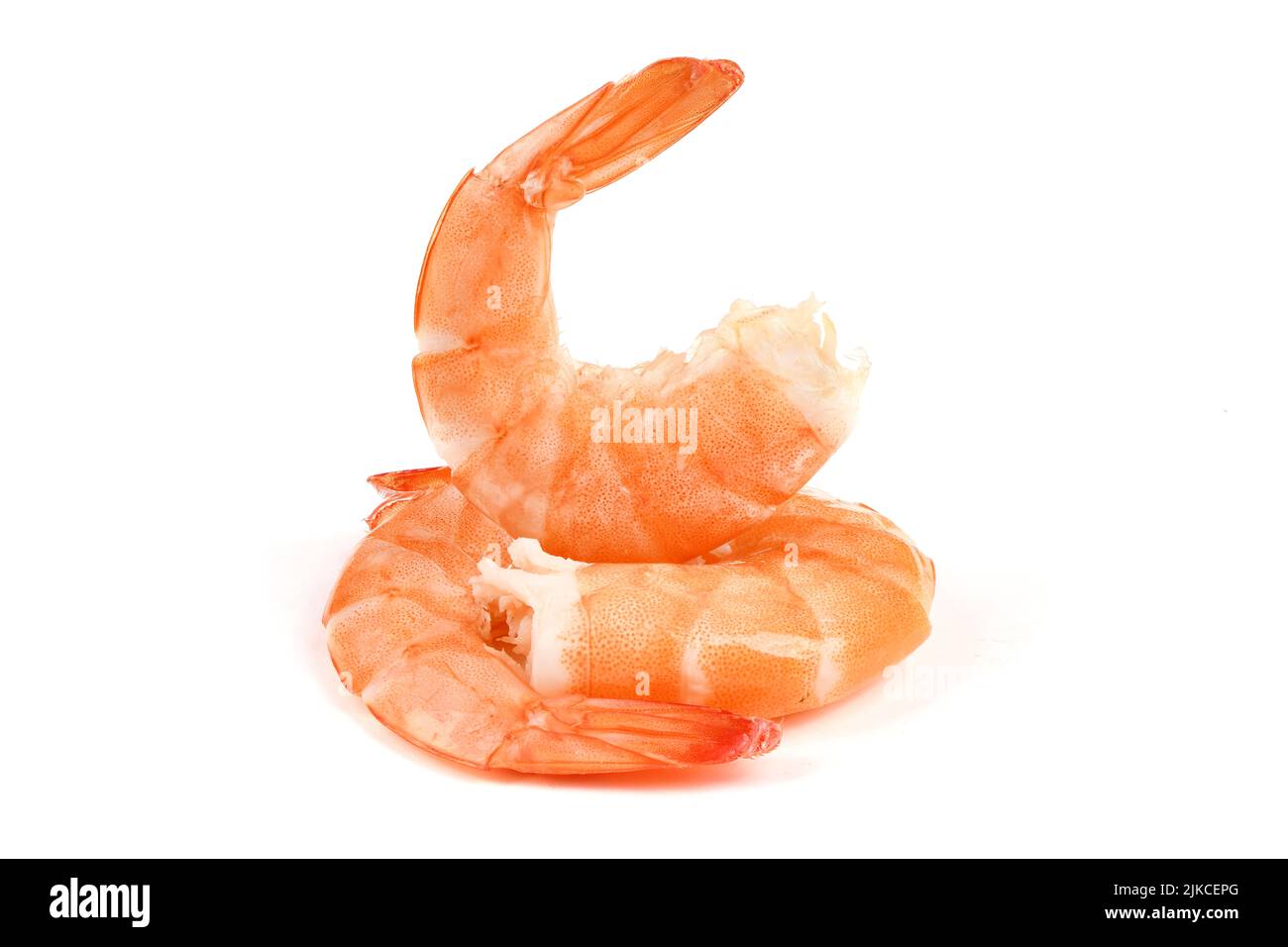 Perfectly retouched shrimp isolated on white. High resolution photo ...