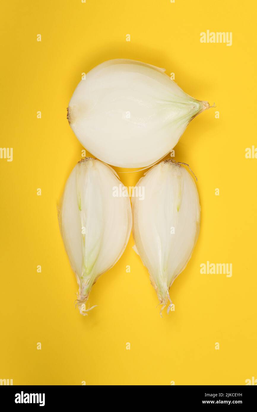 Sliced white onion rings isolated on yellow background. High resolution ...