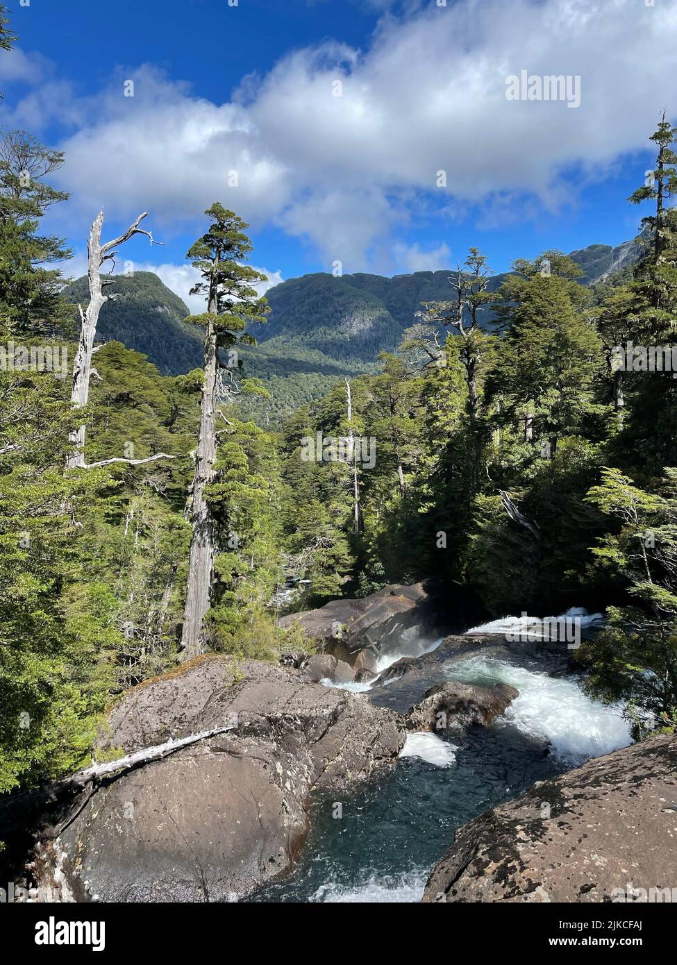 The view of a small waterfall in the forest in the Los Lagos region ...