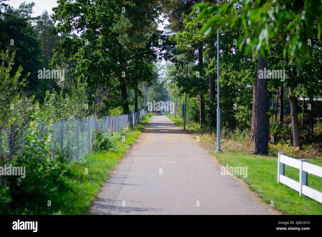 An empty alley in the park along a metal fence Stock Photo - Alamy