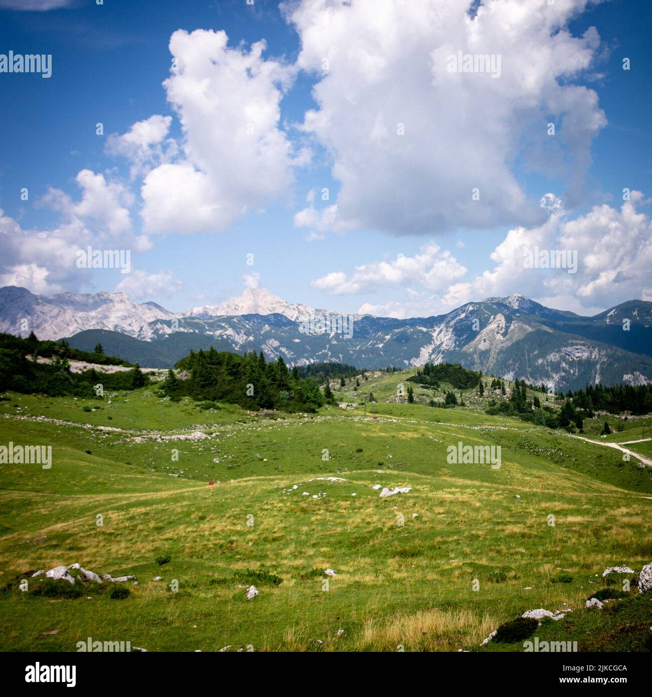 A breathtaking view of green fields with mountains on the background ...