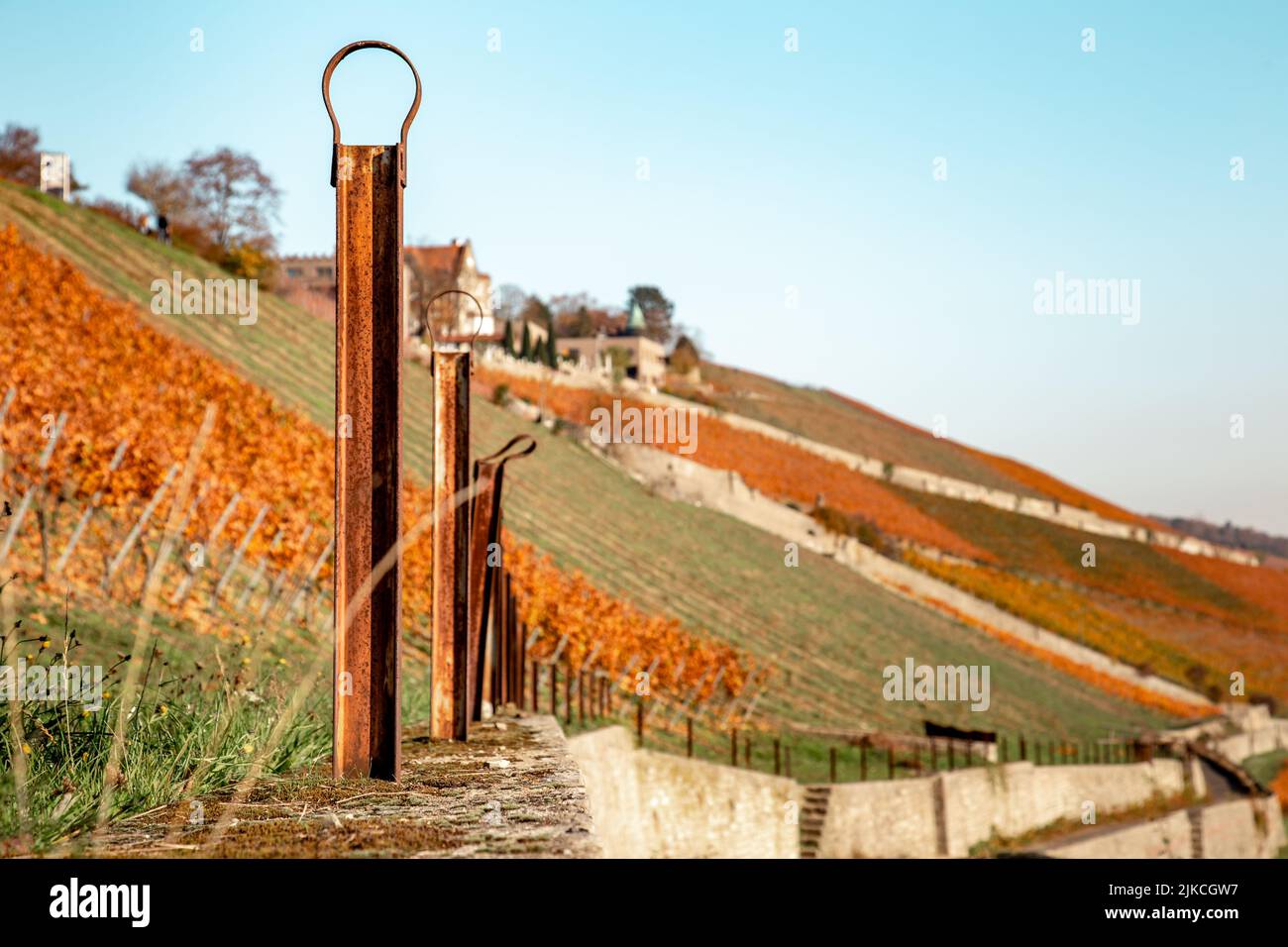 Old fence posts from steel standing alongside vineyard hills during ...