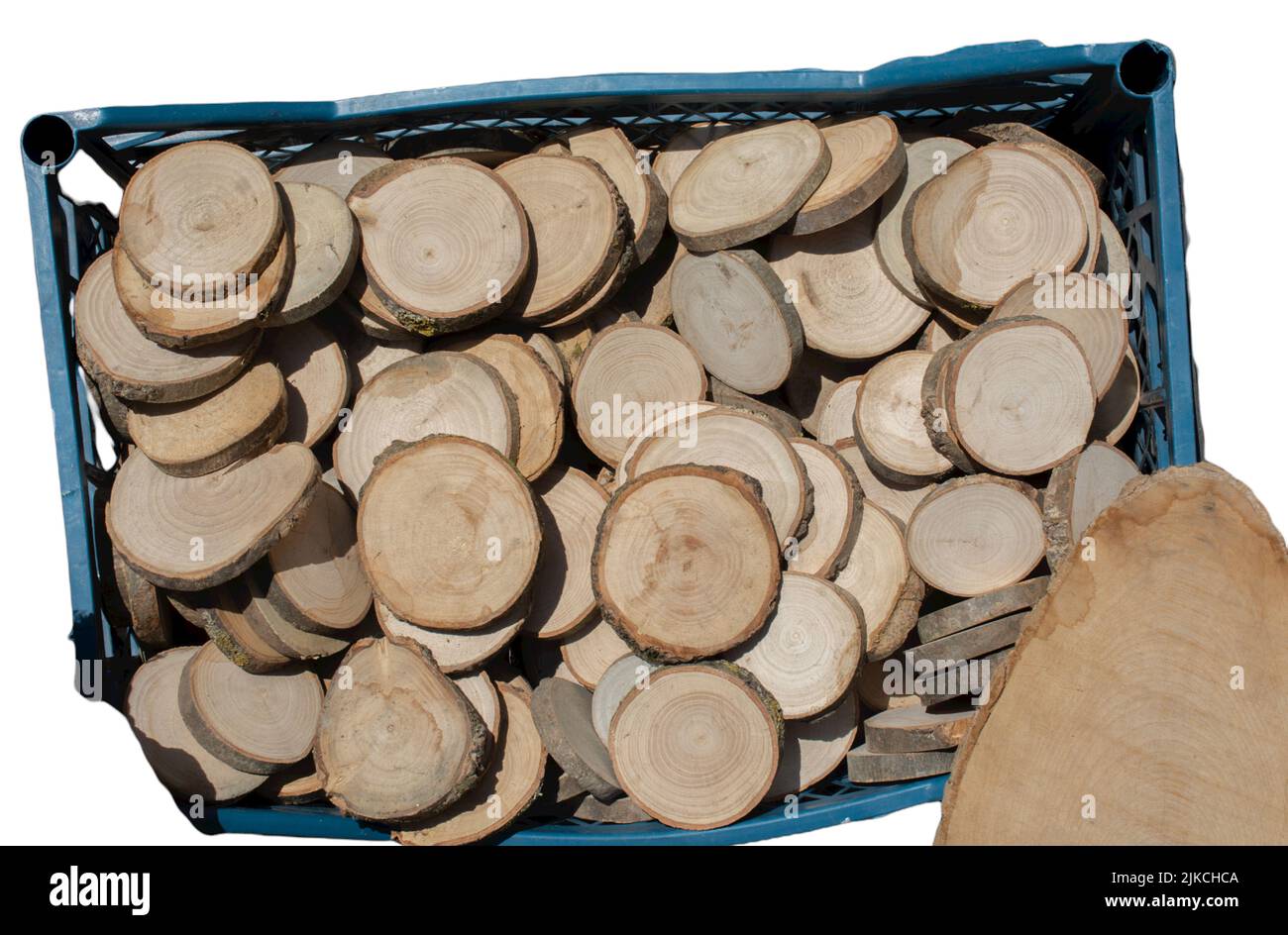 A top view of circular woodcuts of similar sizes in a blue box isolated ...