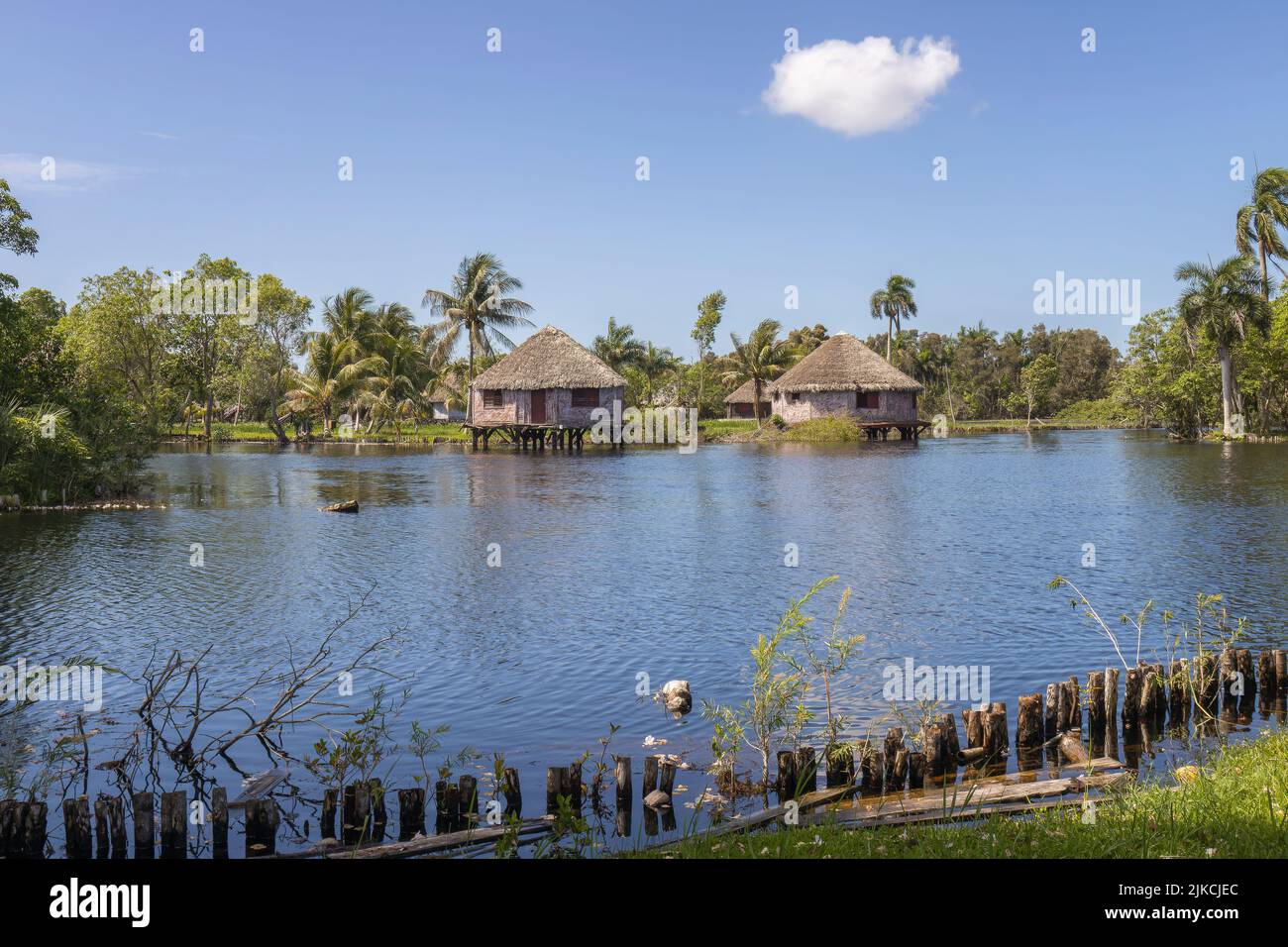 Typical huts and tropical nature on the Zapata Swamp coast in Cuba ...