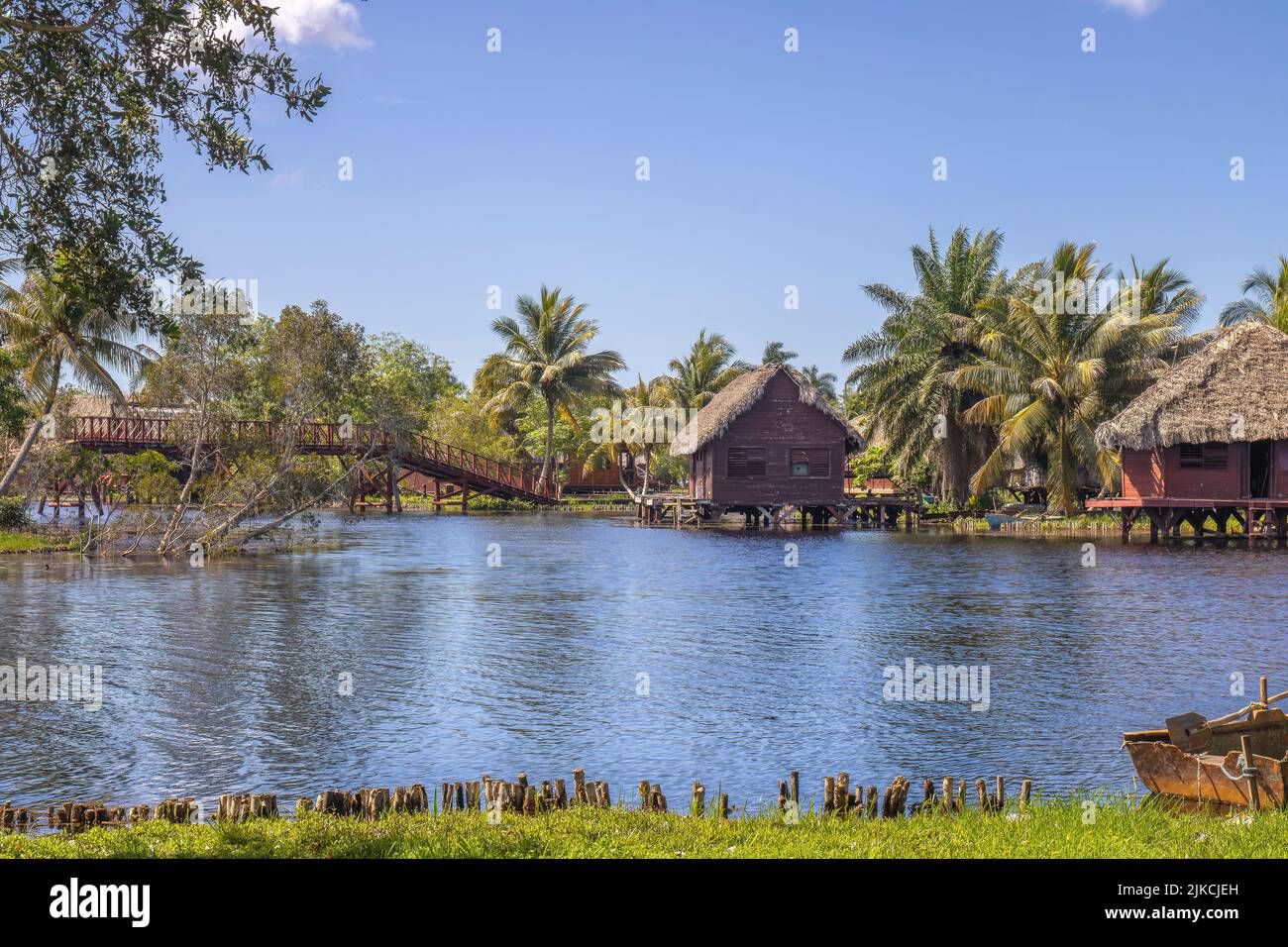 A hut and tropical nature on the Zapata Swamp coast in Cuba Stock Photo ...