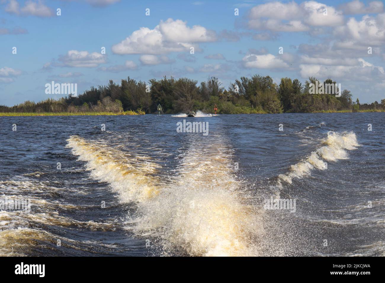 The Zapata swamp with green trees and cloudy sky in the background ...