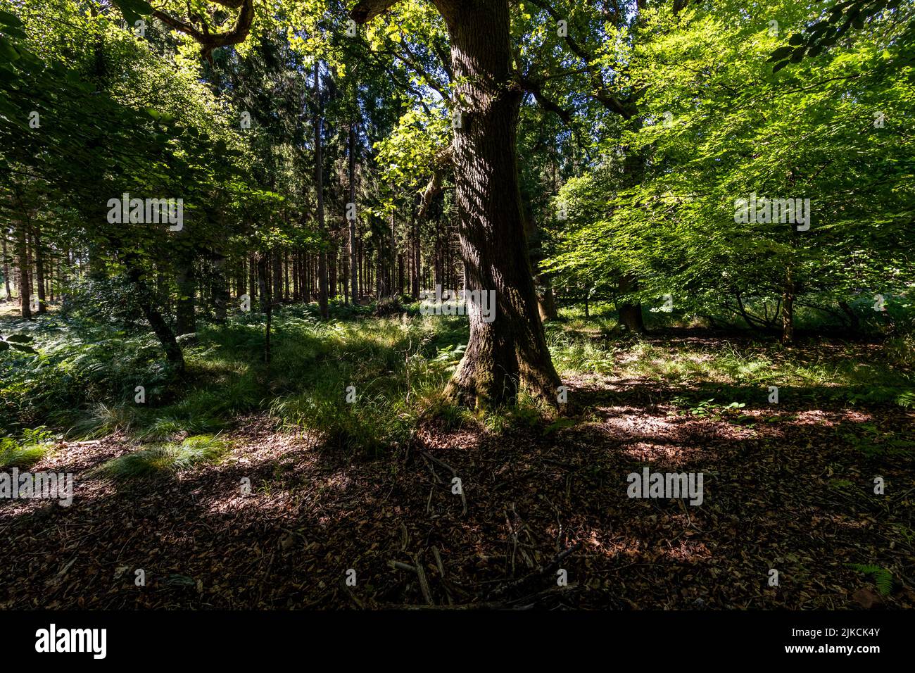 Crumpmeadow hi-res stock photography and images - Alamy