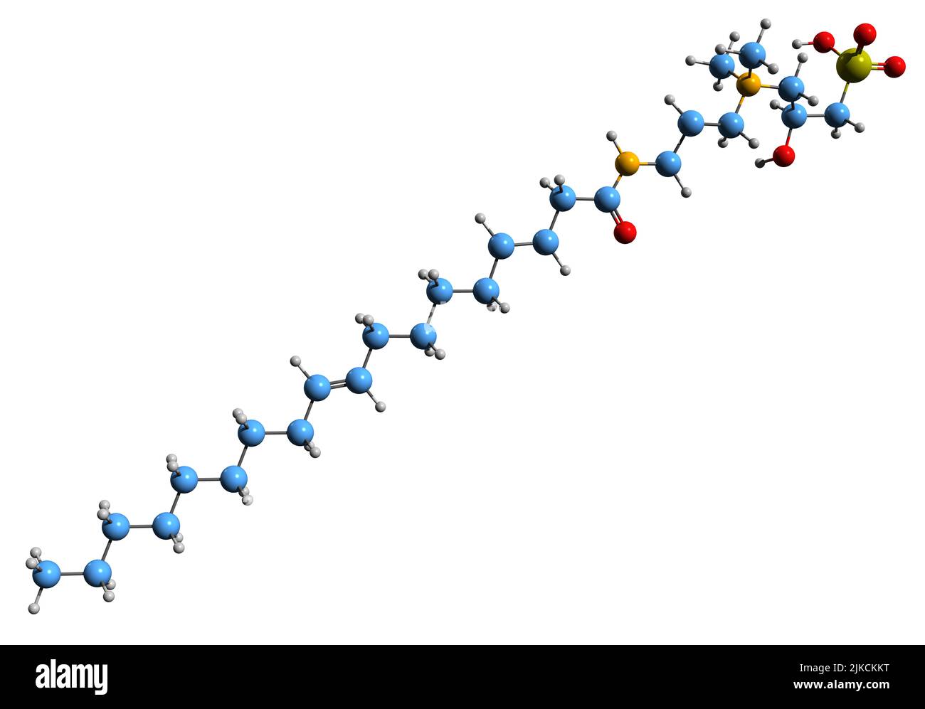 3D image of Oleamidopropyl hydroxysultaine skeletal formula - molecular ...