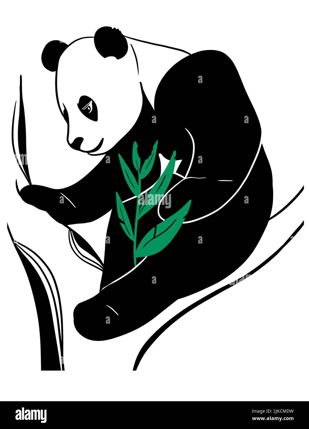 Black panda in cartoon style on white background Stock Photo - Alamy