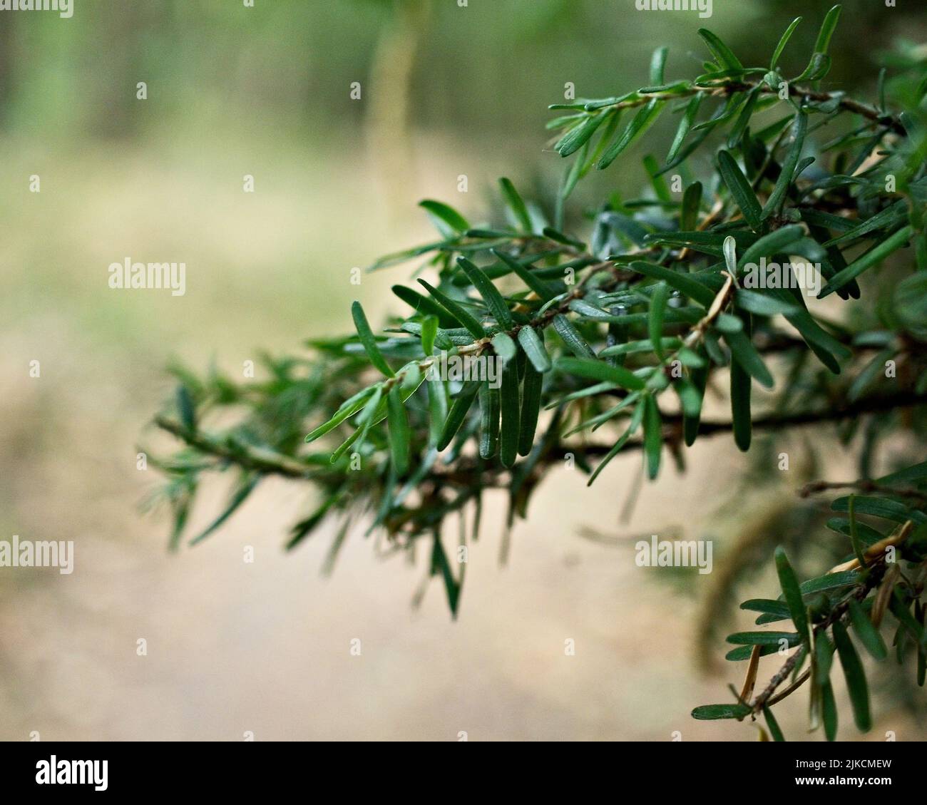 Sulham hi-res stock photography and images - Alamy