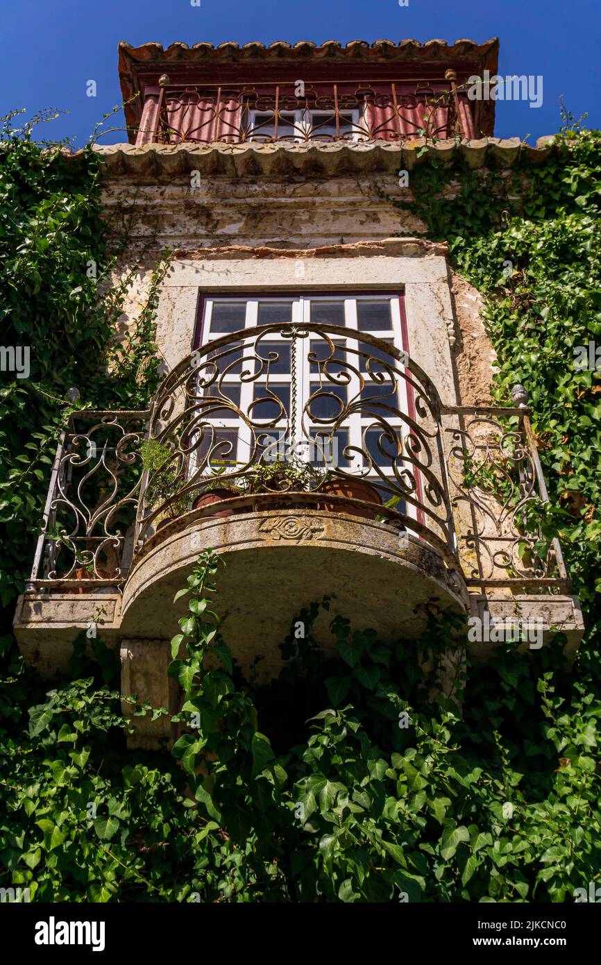 Balcony of an old abandoned mansion overgrown with ivy Stock Photo - Alamy