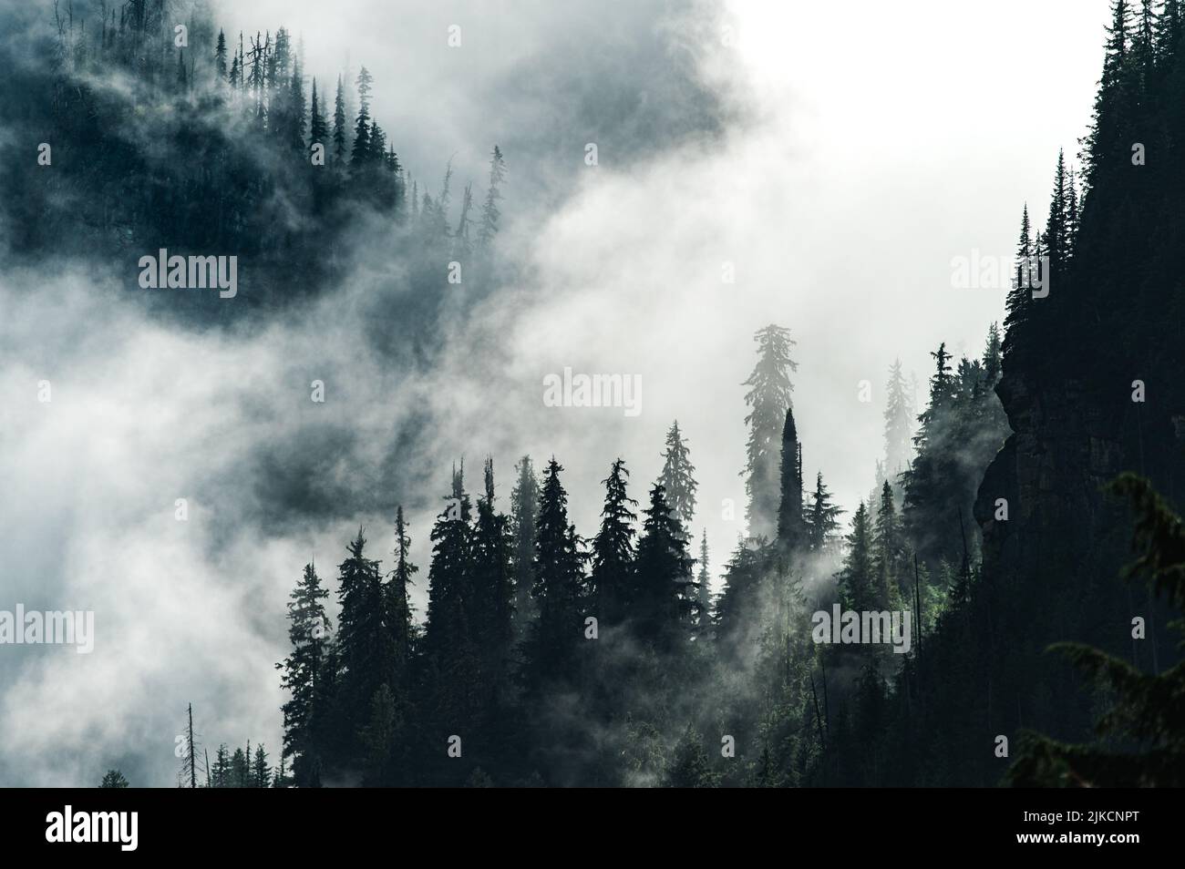 Sunlight Clouds Mist