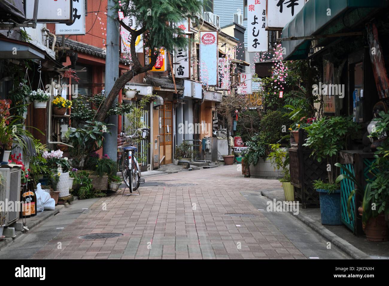 Traditional Street in Tokyo, Japan Stock Photo - Alamy