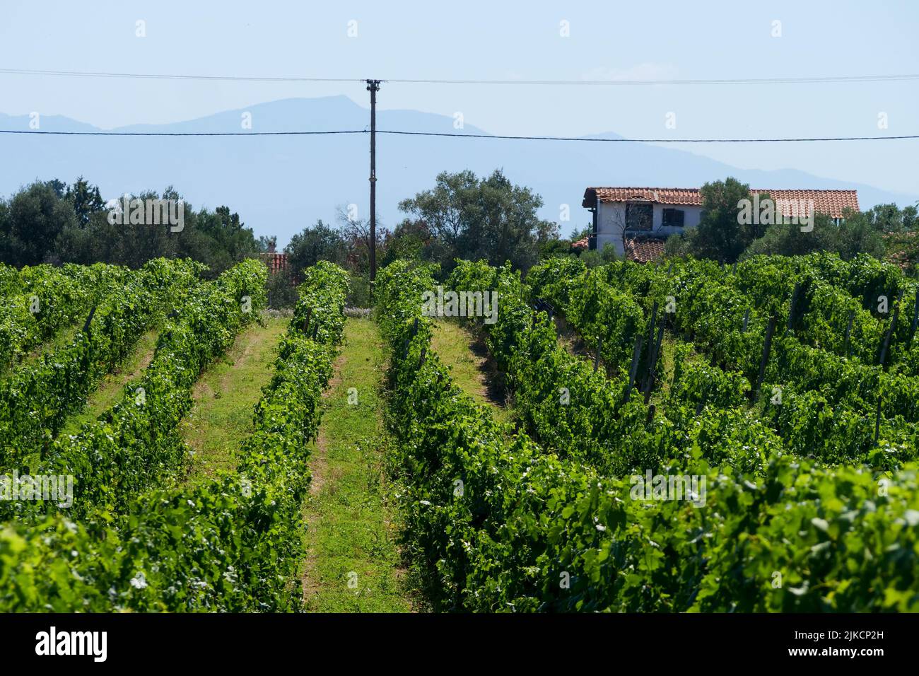 Macedonian countryside hi-res stock photography and images - Alamy