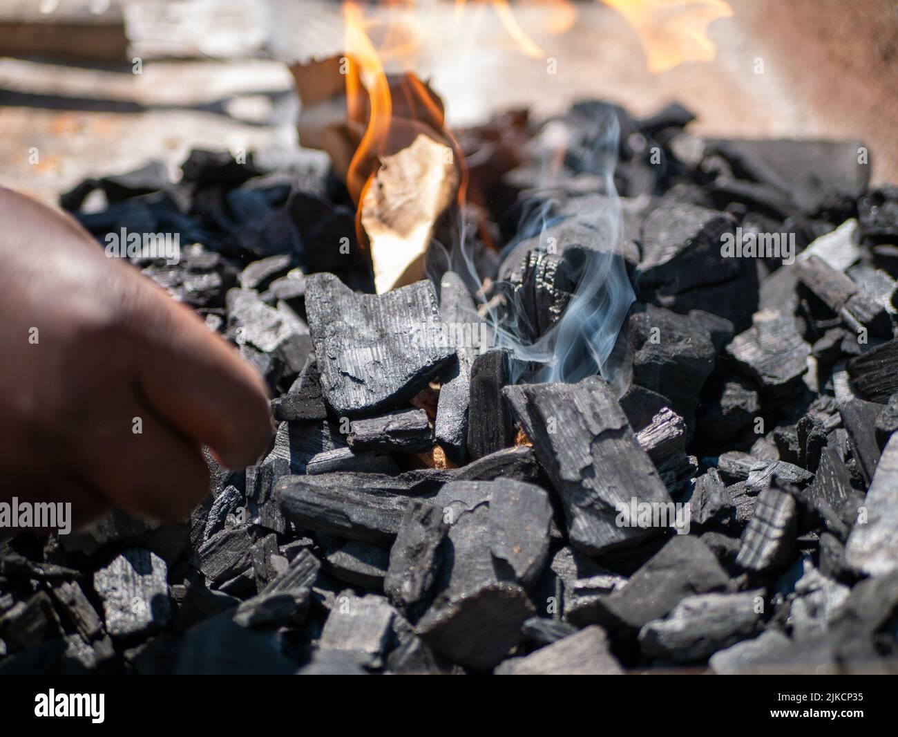 A closeup of black person's hand throwing wood charcoal into the fire ...