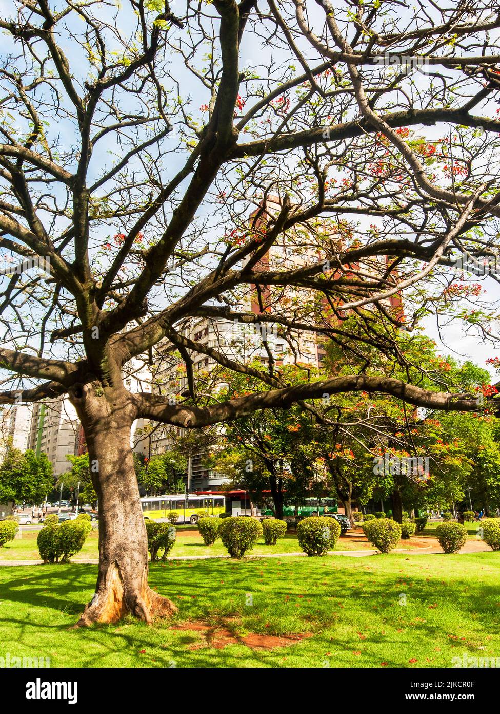 Central panorama of the city of Belo Horizonte. Raul Soares Square ...