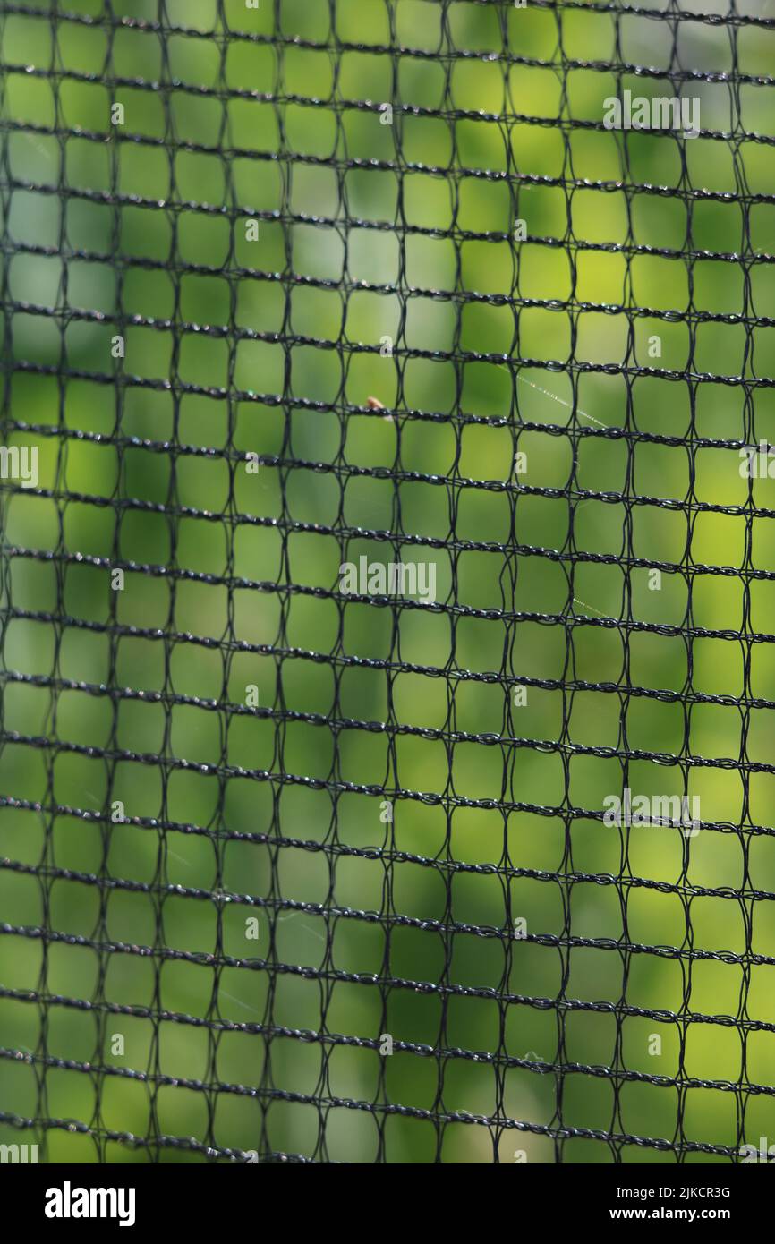 Vertical image of green nylon net against blurred green background ...