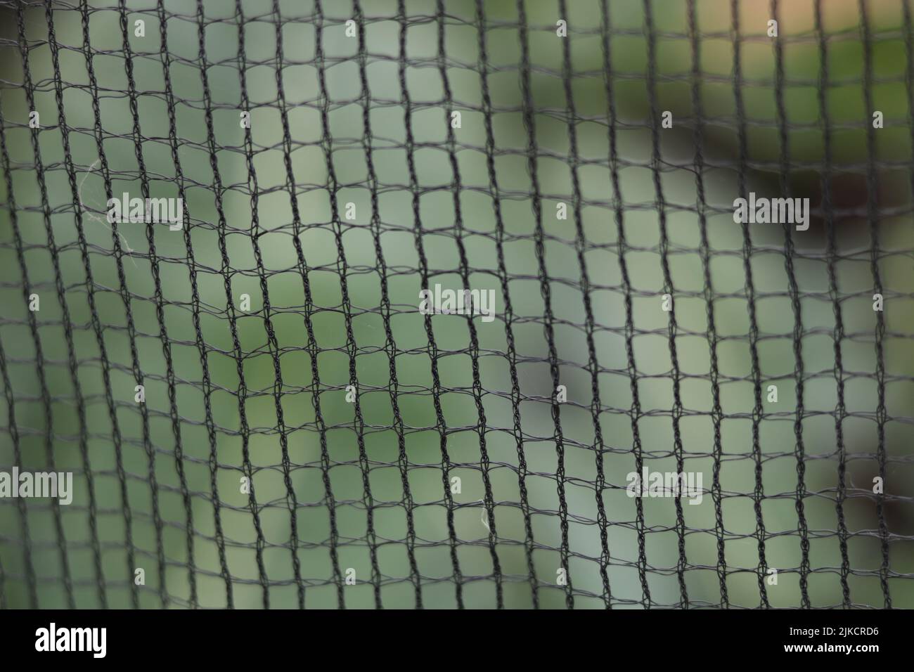 Garden wallpaper image of green nylon net against blurred green ...