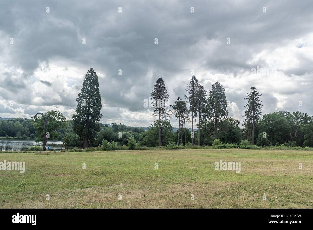 Staffordshire Lakeside long trees and river landscape, Stoke-on-Trent ...