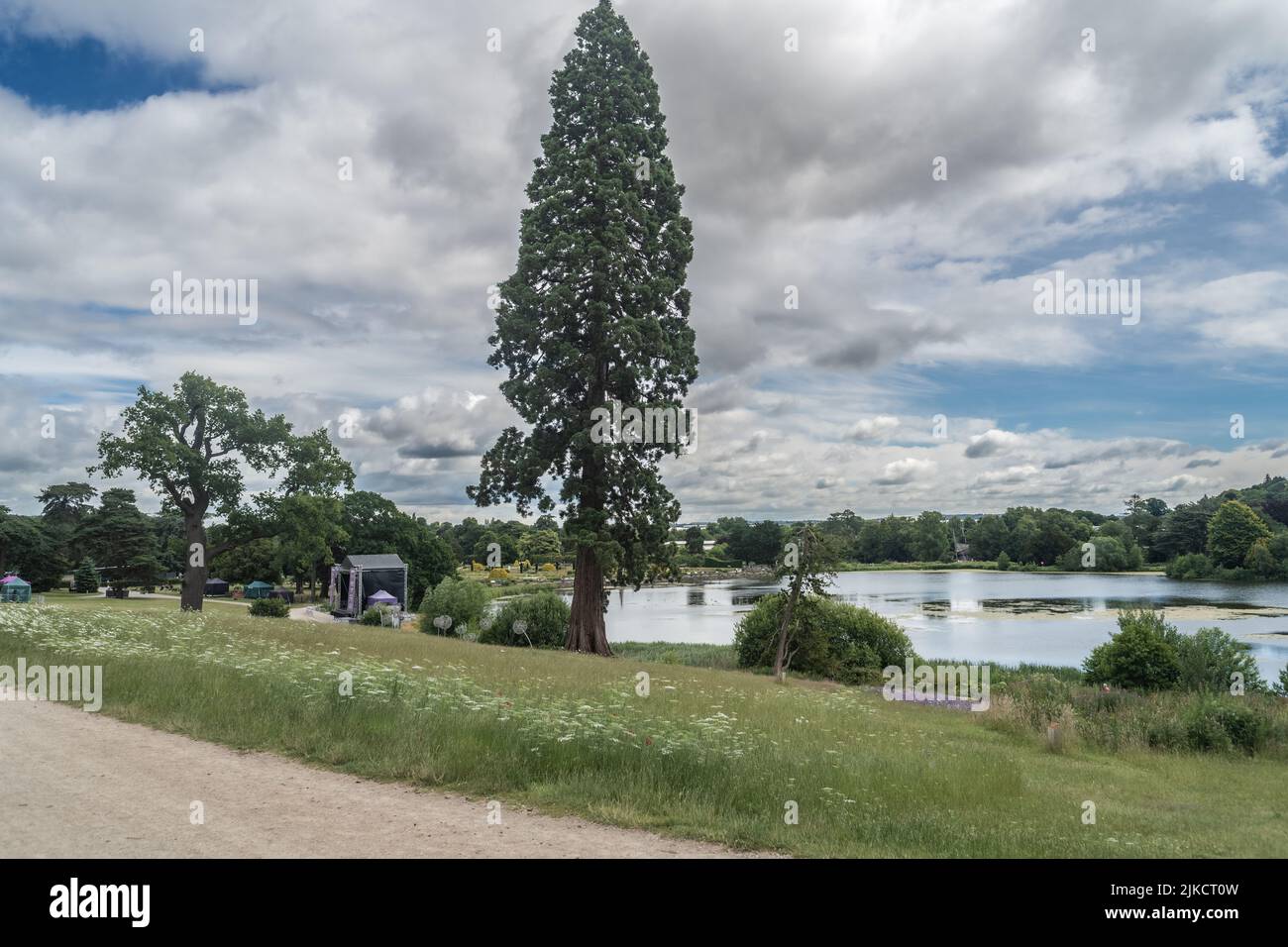 Staffordshire Lakeside long trees and river landscape, Stoke-on-Trent ...