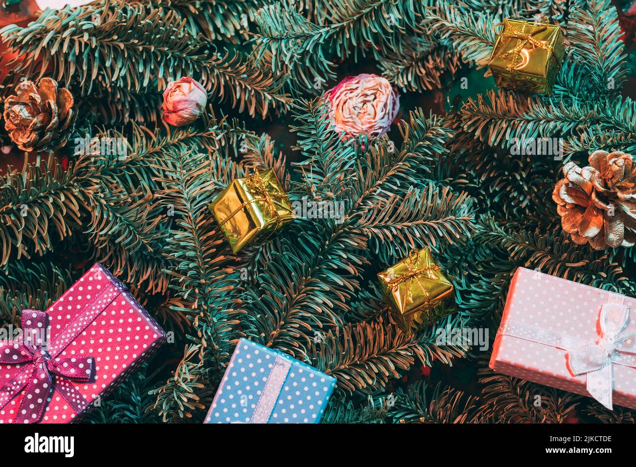 Evergreen tree buds hi-res stock photography and images - Alamy