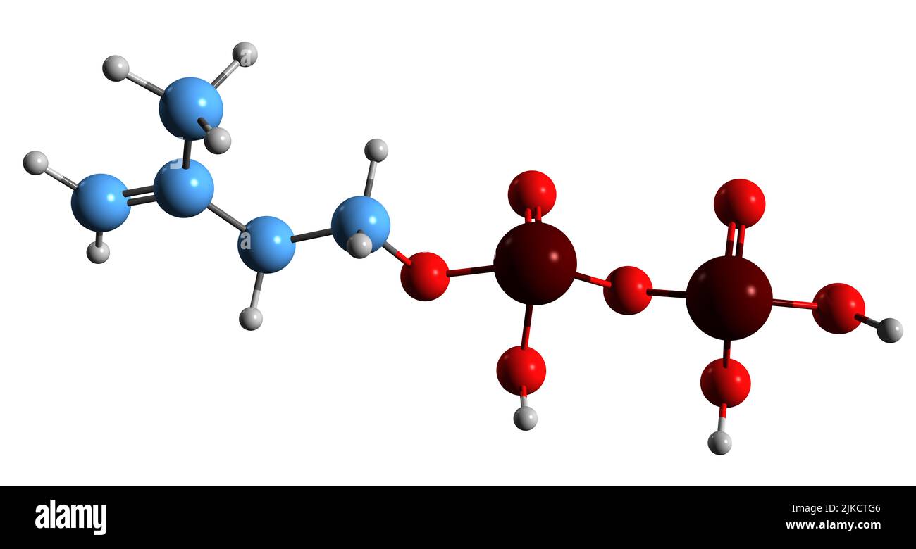 3D image of Isopentenyl pyrophosphate skeletal formula - molecular ...