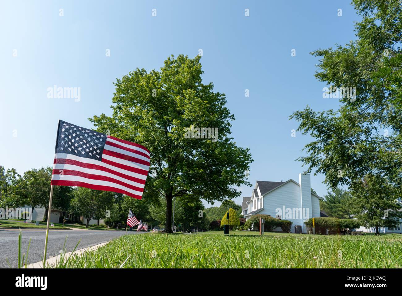 Small American flags line a suburban Maryland street ahead of the 4th ...