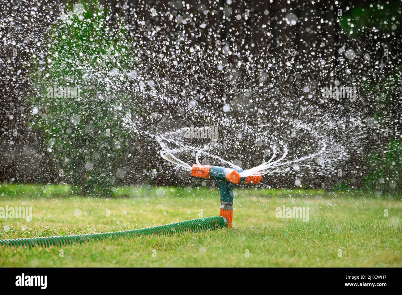 Green lawn automatic irrigation system in park. Watering lawn at heat ...