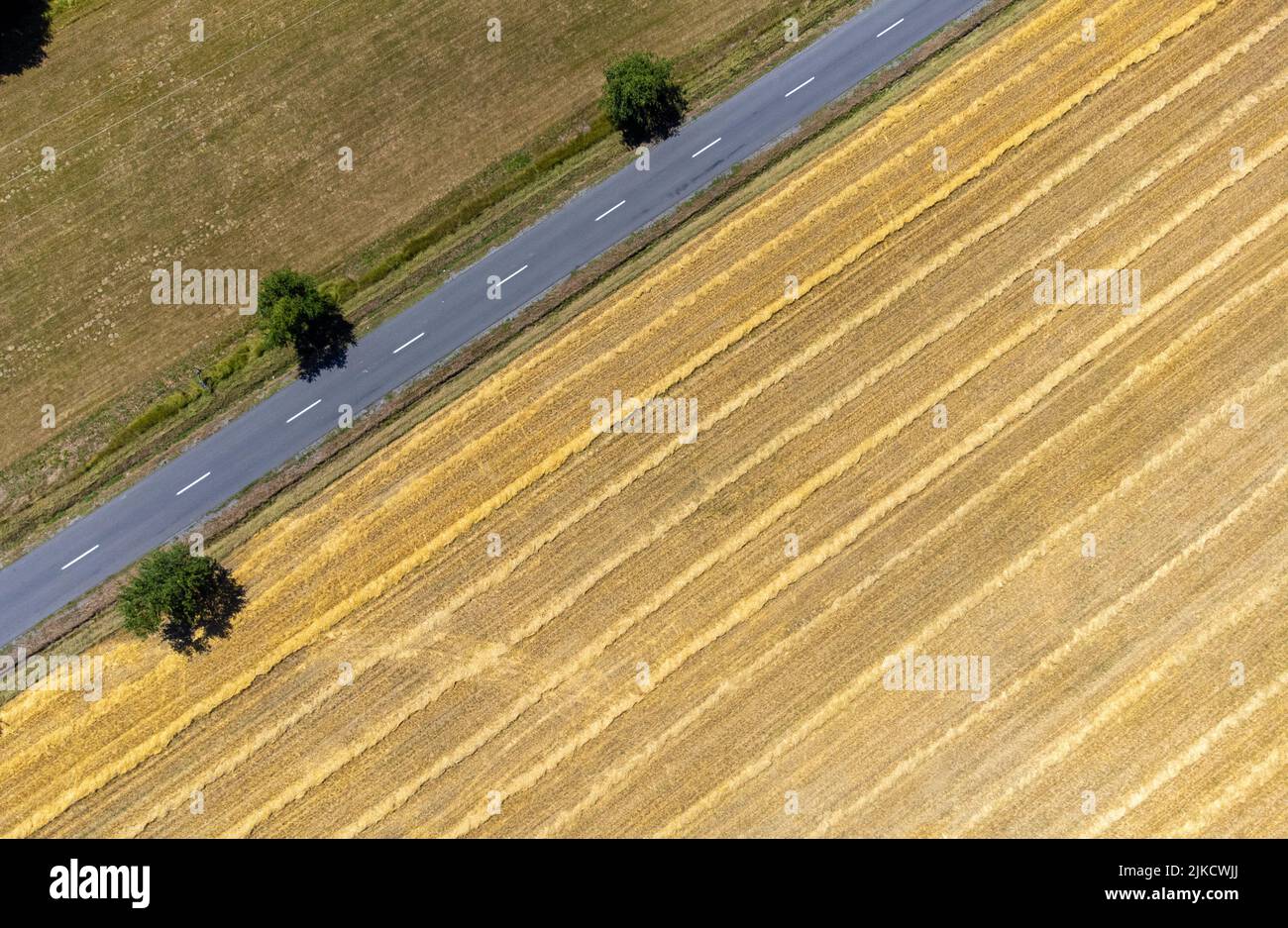 an aerial view of a straight road next to a cultivated field, wheat ...