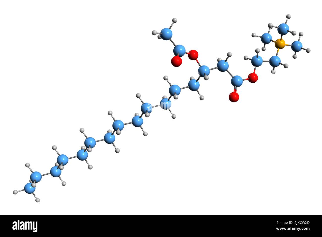 3D image of Pahutoxin skeletal formula - molecular chemical structure ...