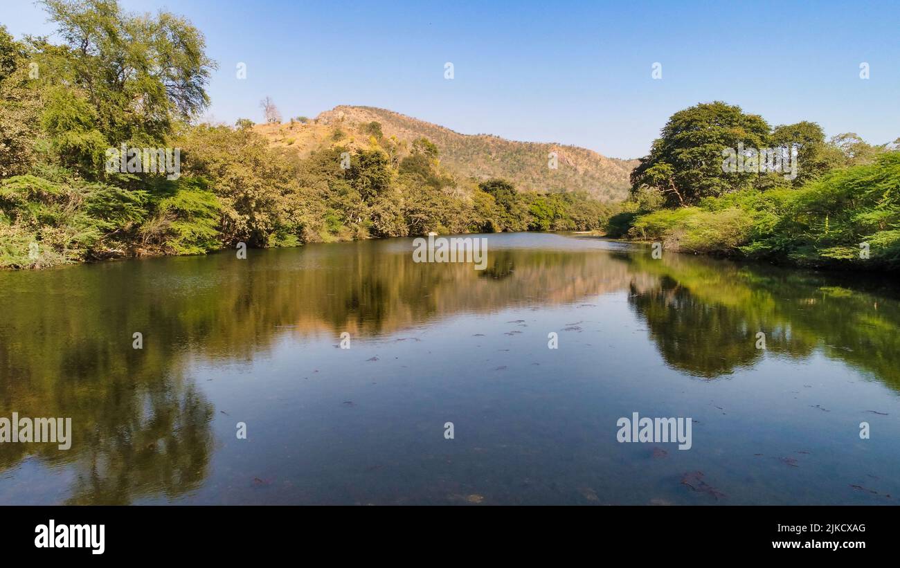 Polo forest hi-res stock photography and images - Alamy