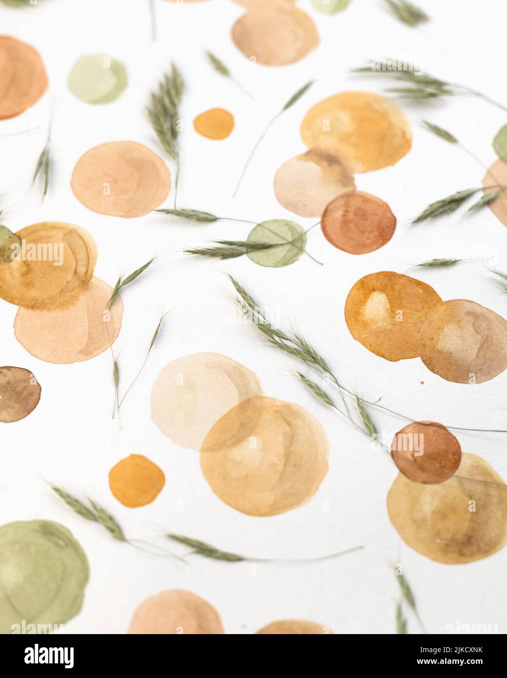 Modern botanical pressed flower art. Pressed floristry Oshibana in the ...