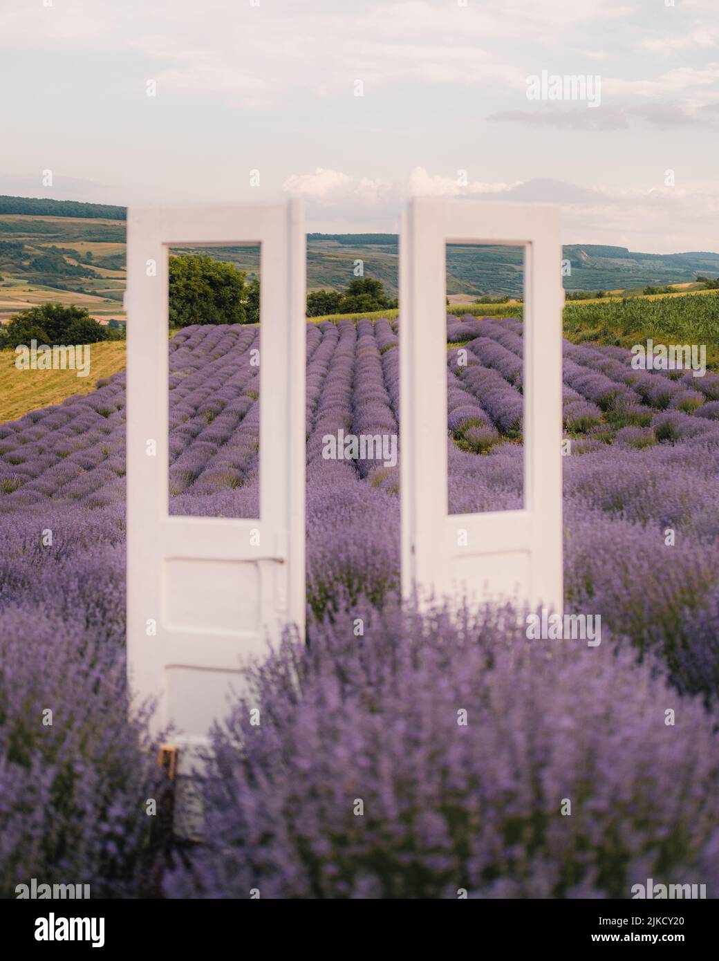 Man made objects in nature hi-res stock photography and images - Alamy