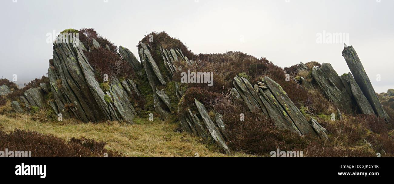 The tilted rocks covered with grass Stock Photo - Alamy