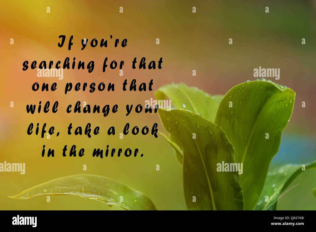 Motivational quote with fresh nature and blurred green leaf background - If you are searching ...