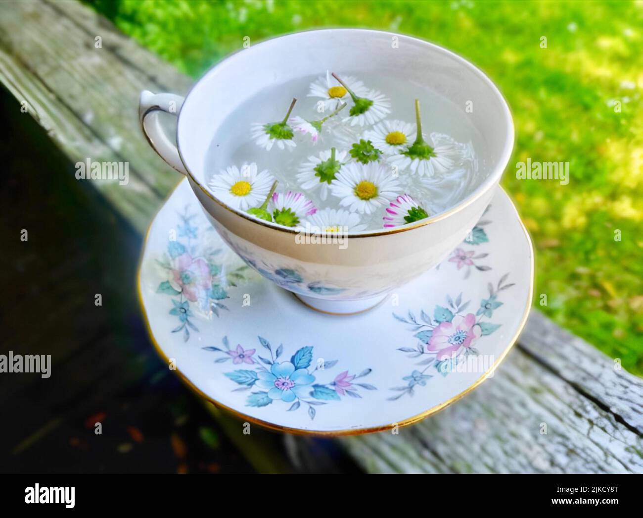 Floating daisies hi-res stock photography and images - Alamy