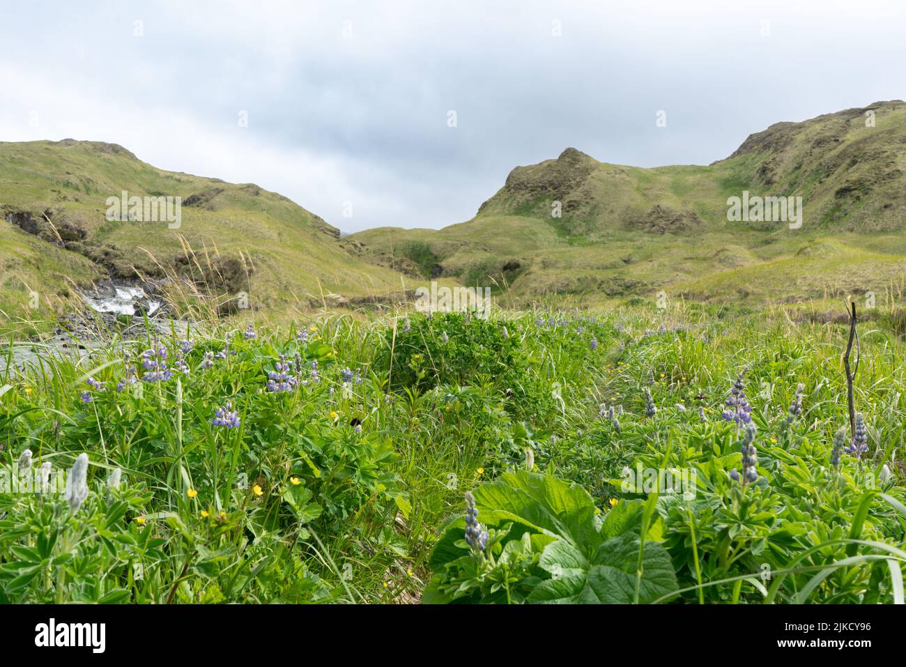 Waterfalls along the rugged landscape of Adak near Finger Bay Stock ...