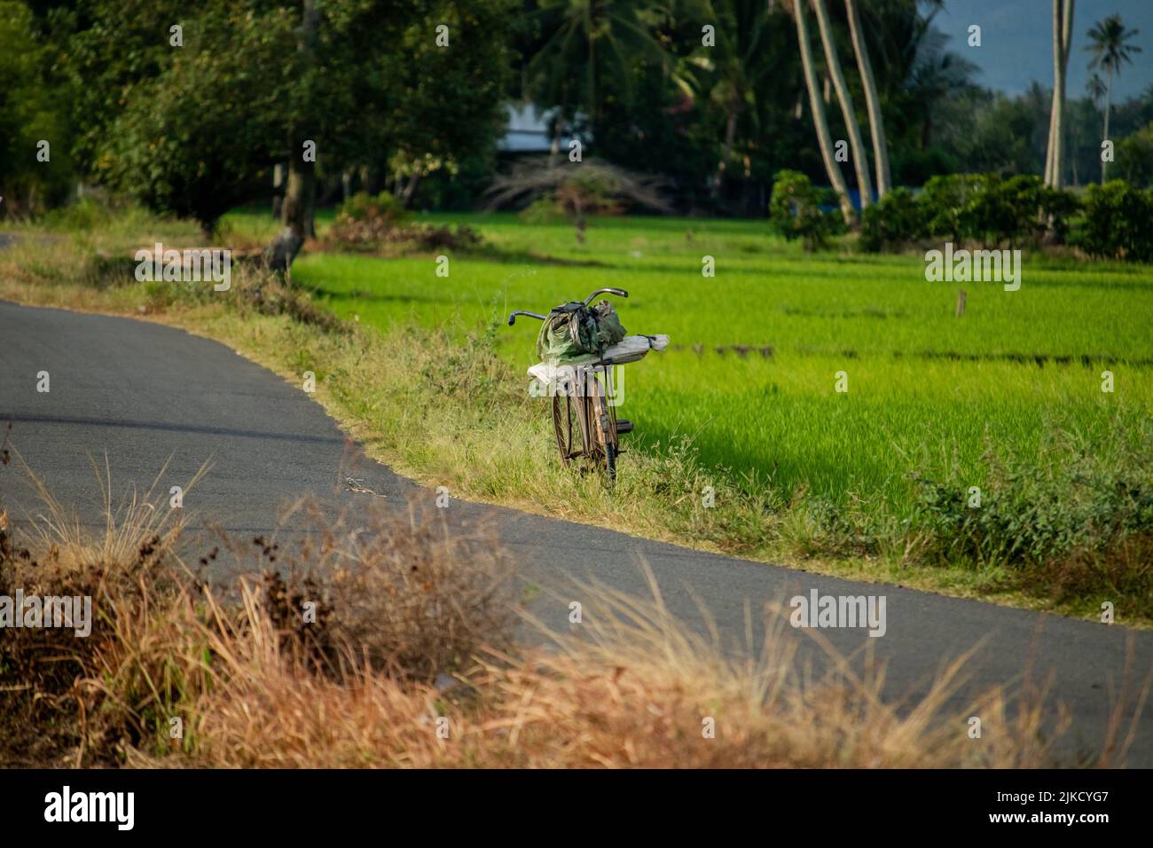 Bikes parked on the edge of the rice fields Stock Photo - Alamy