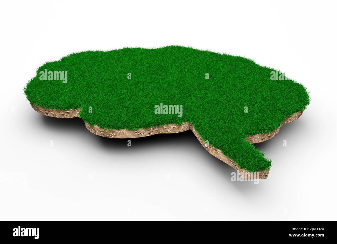 A 3D rendering of the shape of a brain made of green grass Stock Photo ...