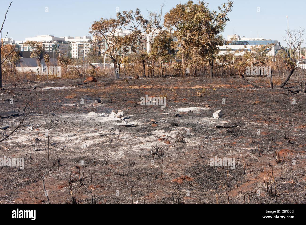 The Charred remains of a brush fire possibly arson near the Karriri ...