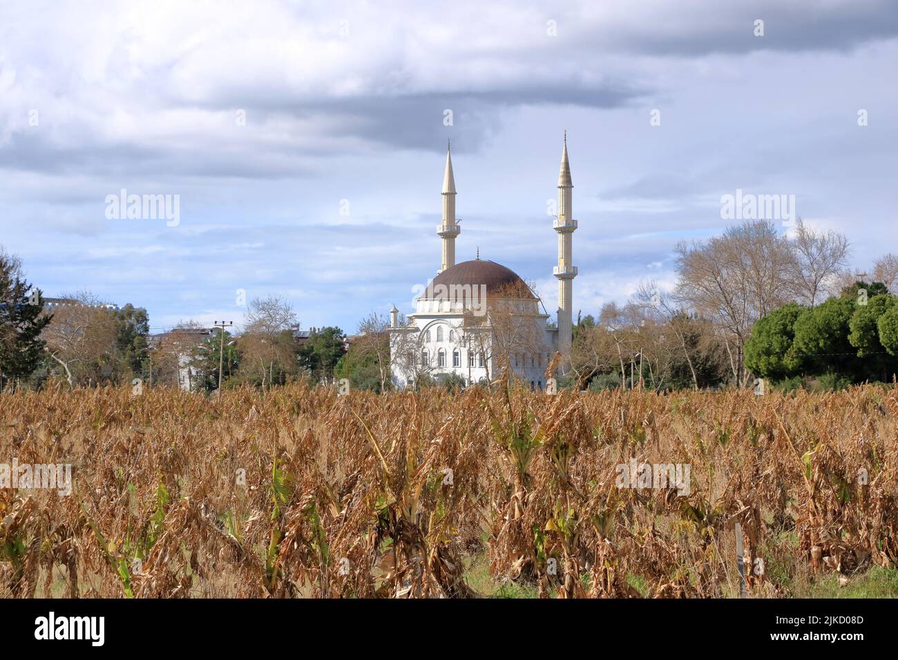 The mosque in the village. Avsallar - is a popular tourist destination ...
