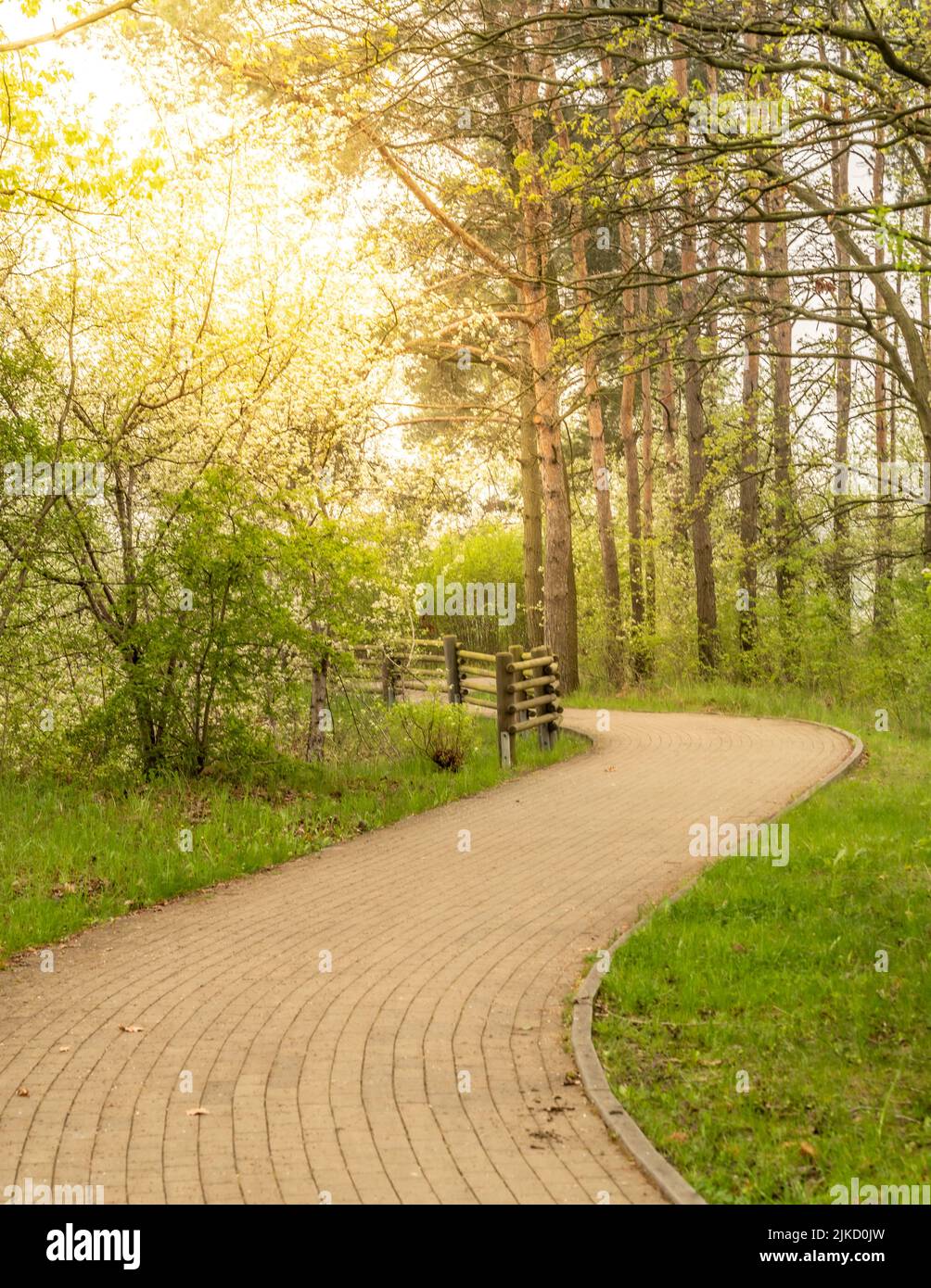 A vertical shot of a narrow park sidewalk lit by a soft sunlight Stock ...